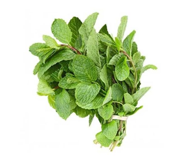 Mint leaves Loose 900-1000g – Gulf Garden Foodstuff Trading | Dubai | UAE