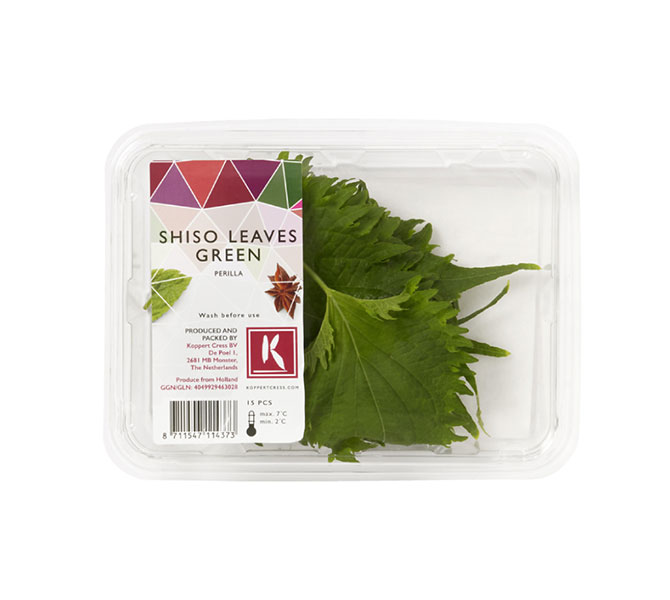Shisho Green Leaves Pack(15Pc) – Gulf Garden Foodstuff Trading | Dubai ...