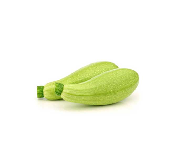 Marrow Baby 450-500g – Gulf Garden Foodstuff Trading | Dubai | UAE